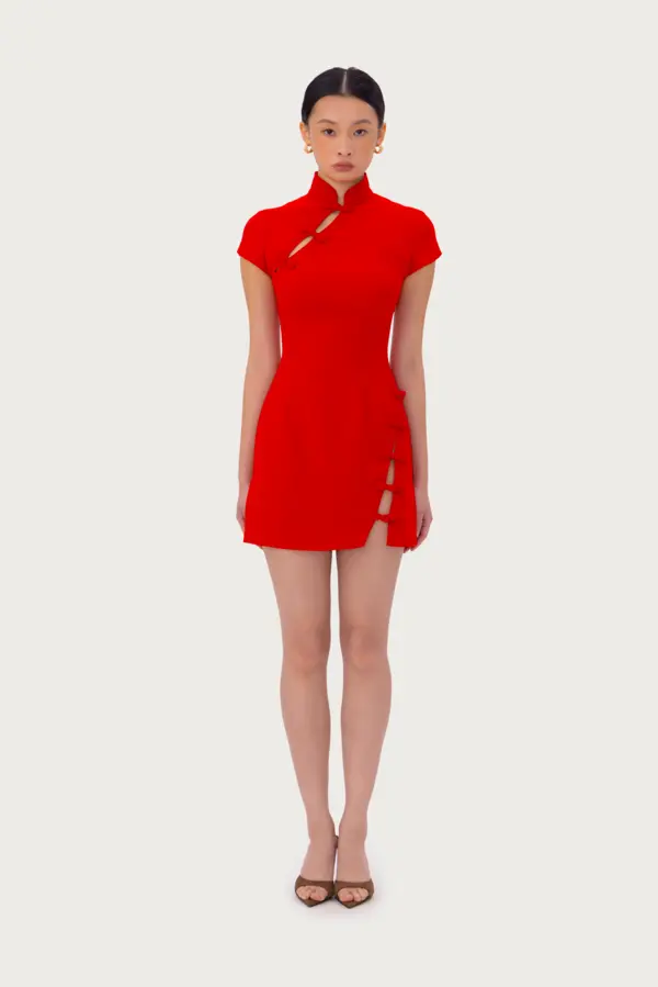 SAU LEE Iris Mini Dress With Pipa Knots
