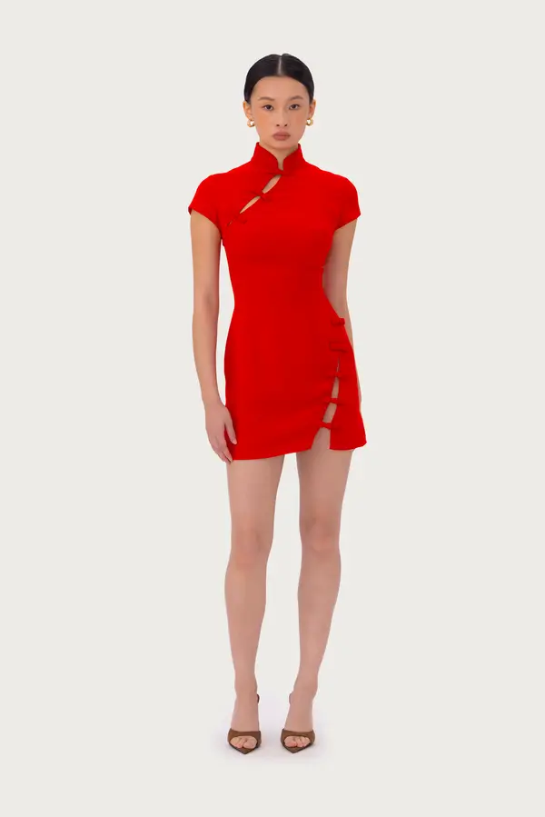 SAU LEE Iris Mini Dress With Pipa Knots