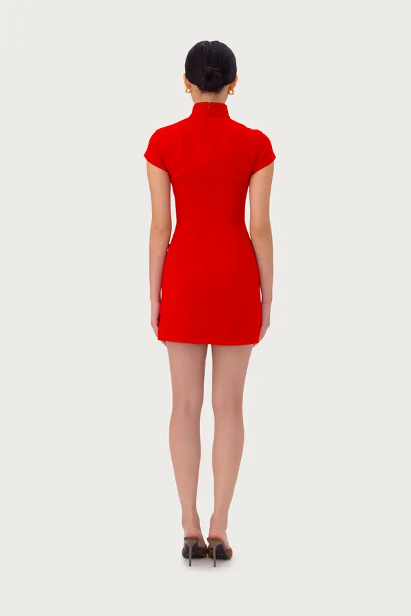SAU LEE Iris Mini Dress With Pipa Knots