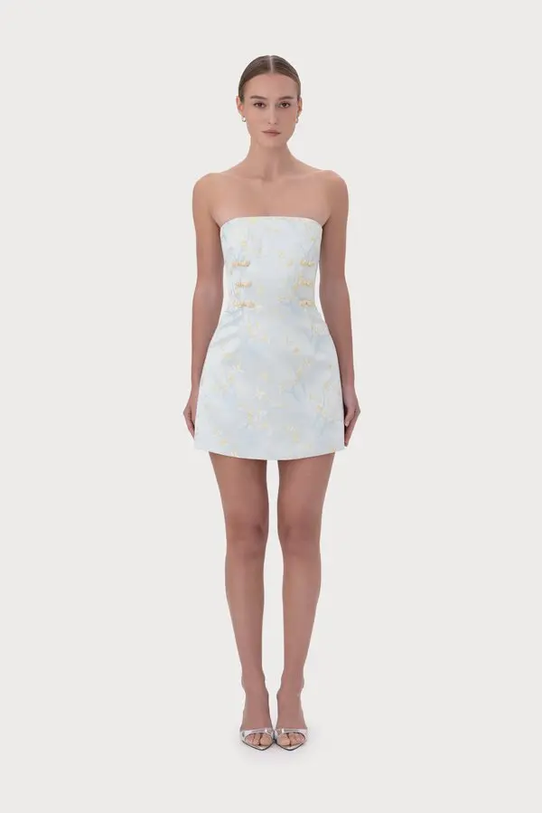 SAU LEE Nina Strapless Mini Dress