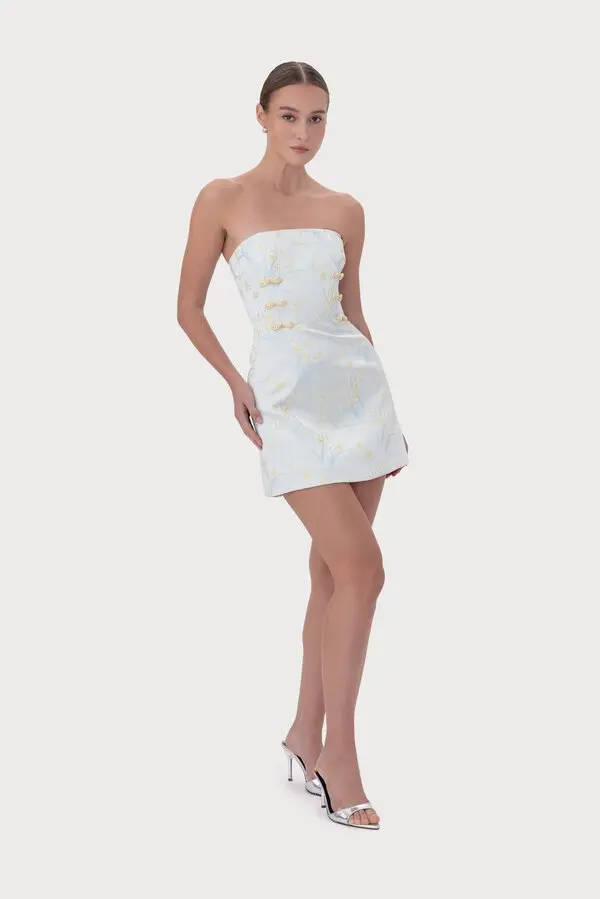 SAU LEE Nina Strapless Mini Dress