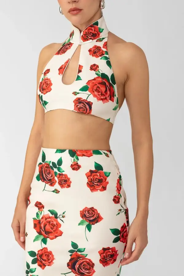 SAU LEE Riley Rosa Print Halter Top
