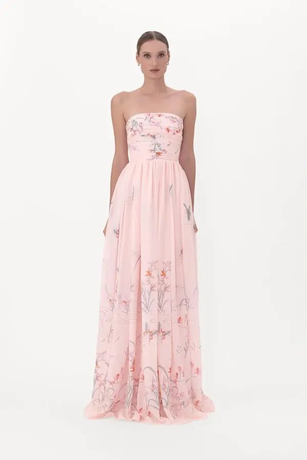 SAU LEE Camille Strapless Embroidered Chiffon Maxi Dress - Pink Multi