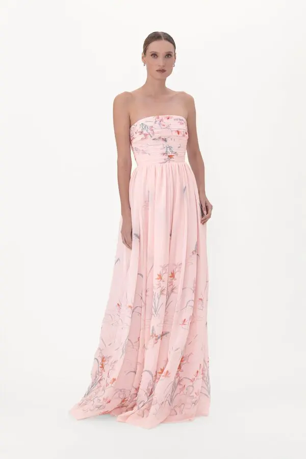 SAU LEE Camille Strapless Embroidered Chiffon Maxi Dress - Pink Multi