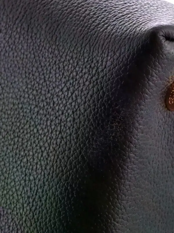 Celine Nino Top Handle Bag