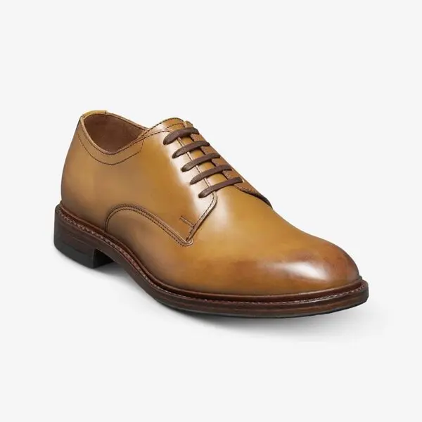 Allen Edmonds Trevor Plain-toe Derby Shoe
