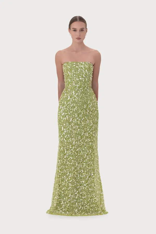 SAU LEE Courtney Sequined And Beaded Strapless Gown