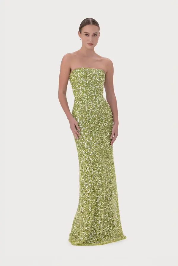 SAU LEE Courtney Sequined And Beaded Strapless Gown