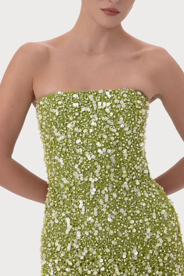 SAU LEE Courtney Sequined And Beaded Strapless Gown