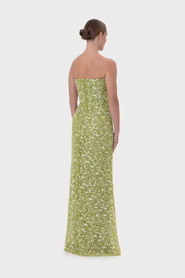 SAU LEE Courtney Sequined And Beaded Strapless Gown