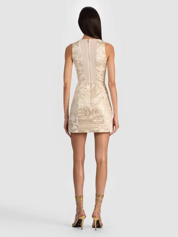 Alice + Olivia Pacey Printed Jacquard Mini Dress