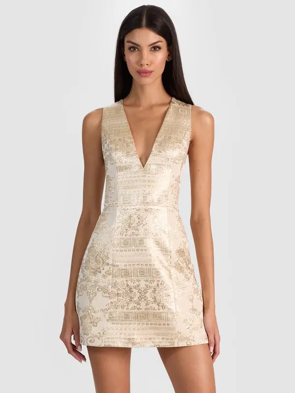 Alice + Olivia Pacey Printed Jacquard Mini Dress