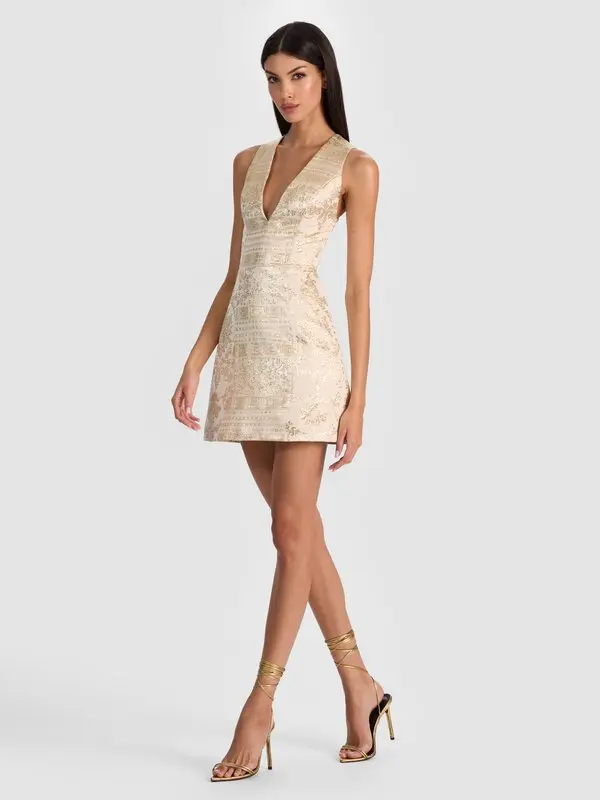Alice + Olivia Pacey Printed Jacquard Mini Dress