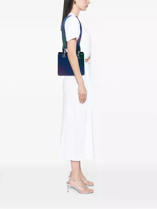 Dior Medium Lady Satchel