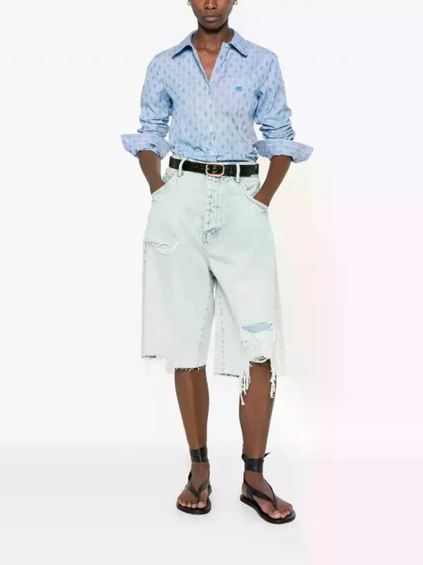Etro Striped Floral Print Shirt - Blue