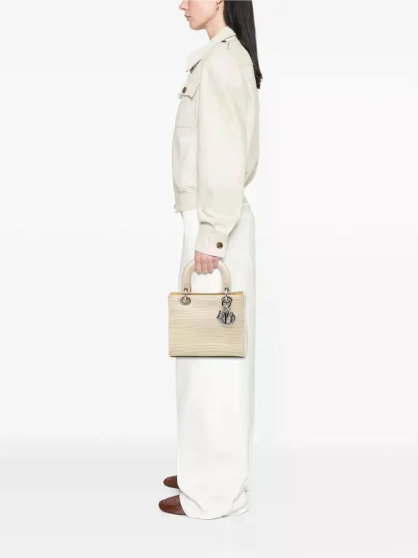 Dior Medium Canvas Lady Handbag