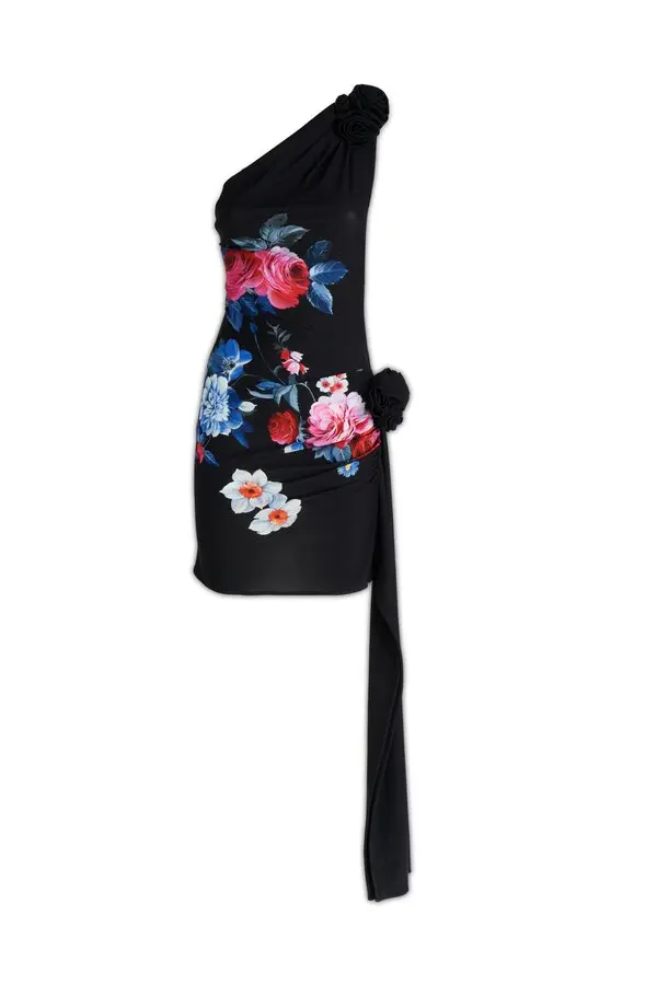 Magda Butrym Asymmetrical Rose Embellished Dress
