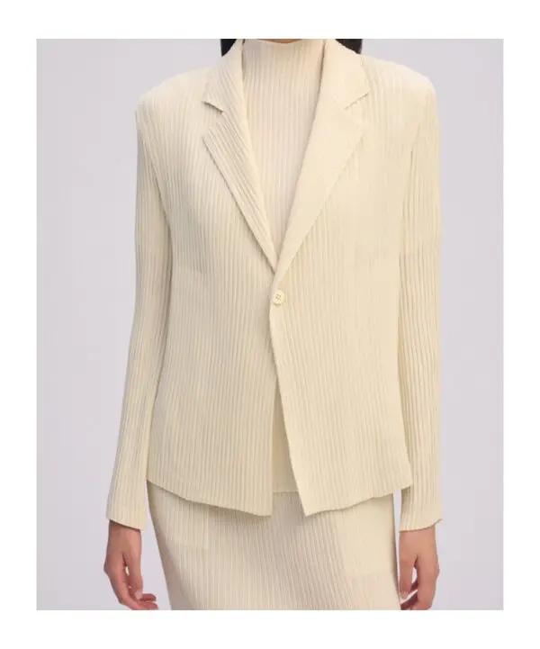 Issey Miyake Pleated Single-breasted Blazer