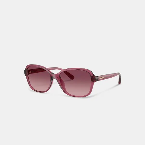 COACH OUTLET Coach Oversized Oval Sunglasses - Berry