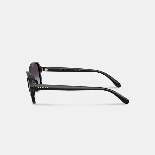 COACH OUTLET Oversized Oval Sunglasses - Black