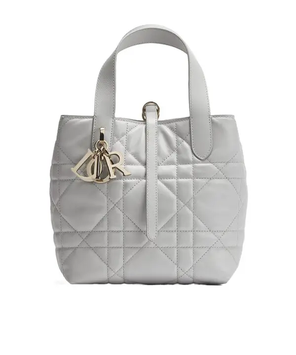 Dior Small Toujours Vertical Tote Bag