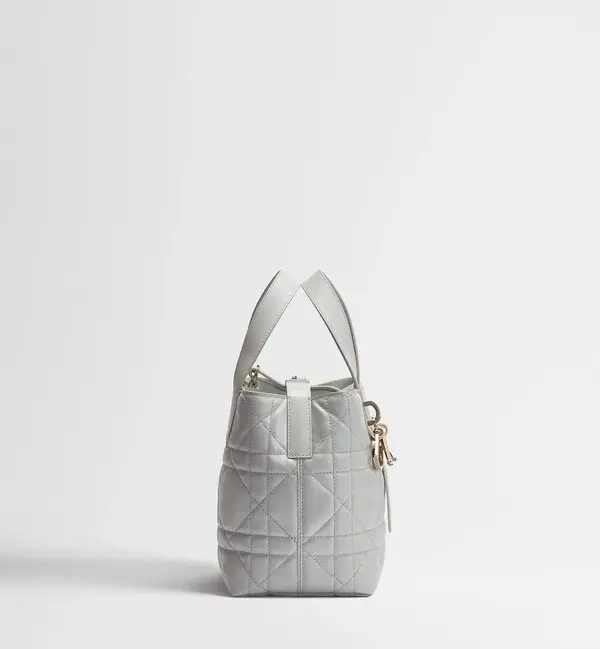 Dior Small Toujours Vertical Tote Bag