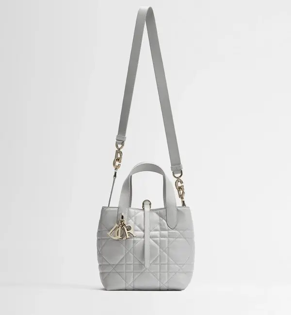 Dior Small Toujours Vertical Tote Bag