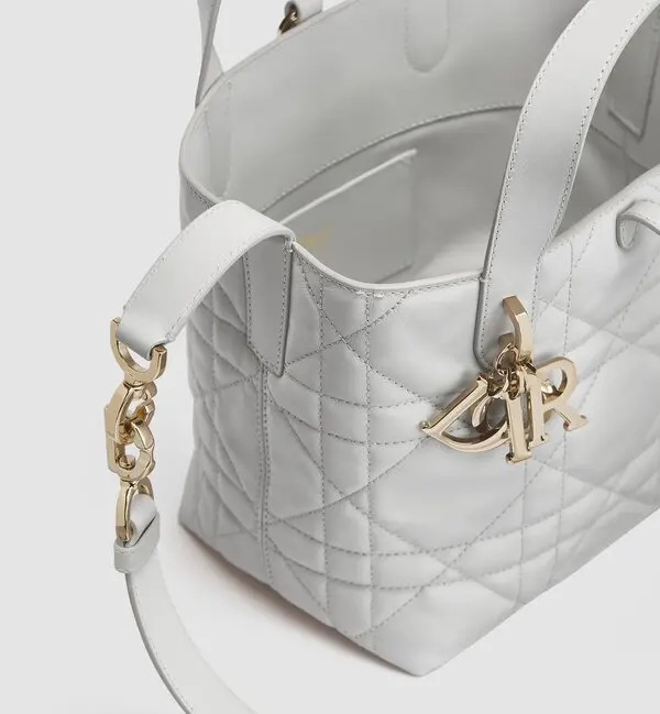 Dior Small Toujours Vertical Tote Bag