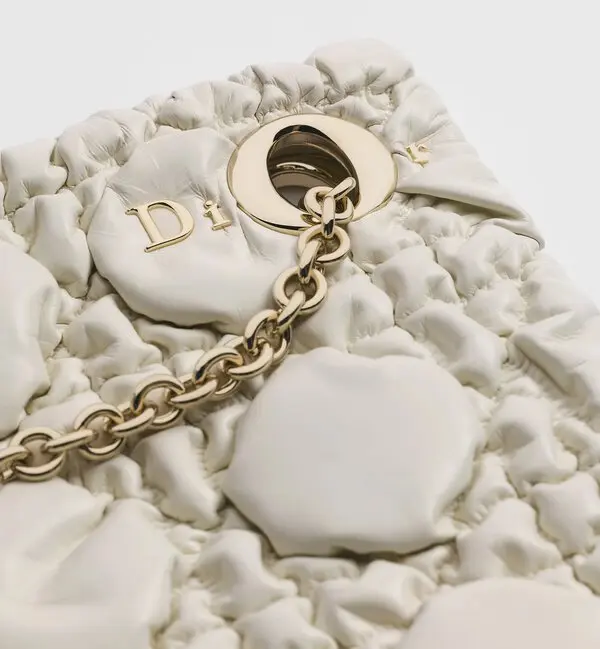 Dior Small Crunchy Bag