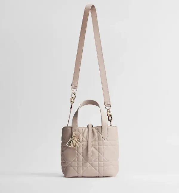 Dior Small Toujours Vertical Tote Bag