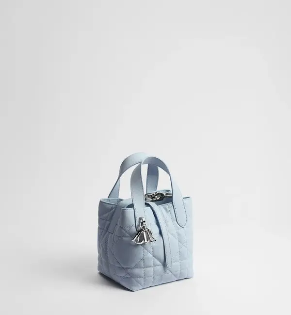 Dior Toujours Vertical Nano Tote Bag