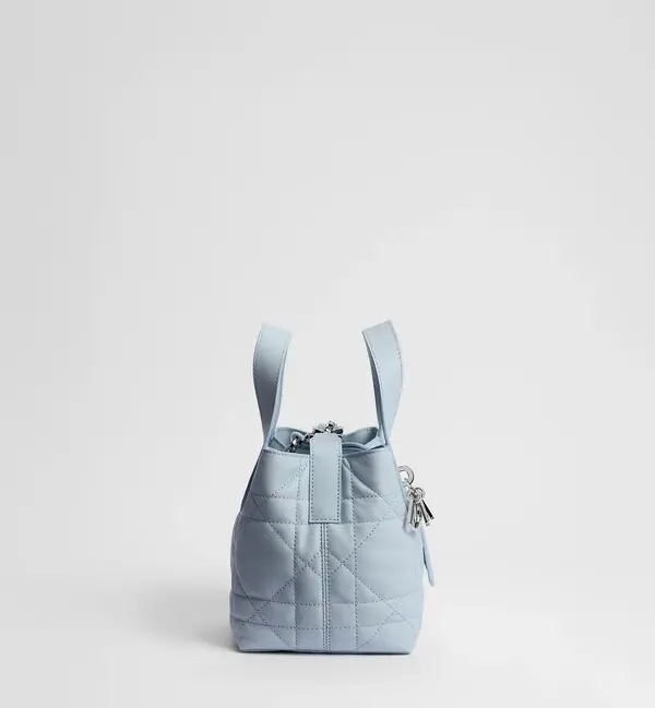 Dior Toujours Vertical Nano Tote Bag