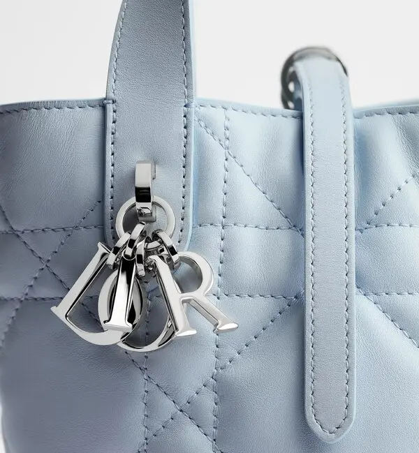 Dior Toujours Vertical Nano Tote Bag
