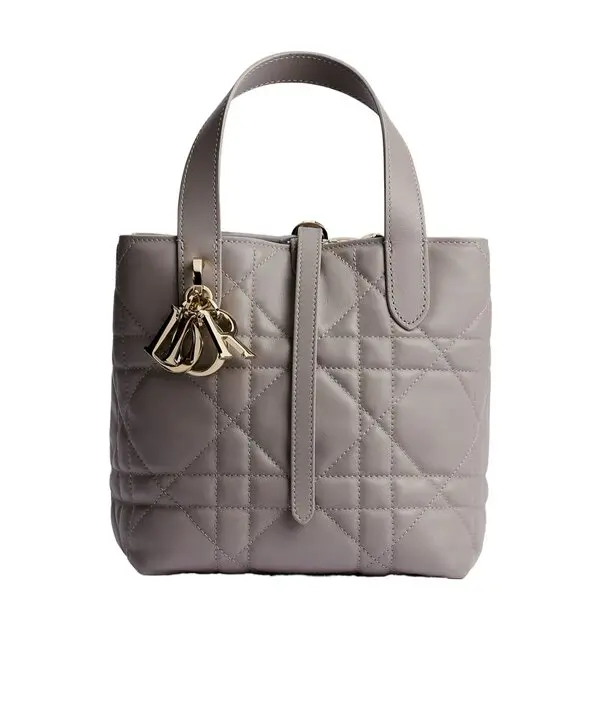 Dior Small Toujours Vertical Tote Bag
