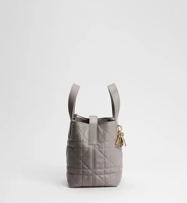 Dior Small Toujours Vertical Tote Bag