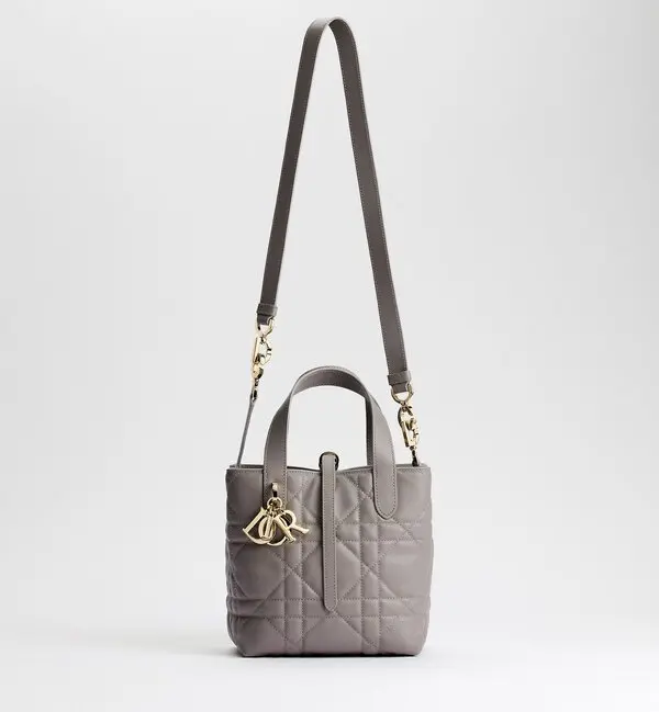 Dior Small Toujours Vertical Tote Bag