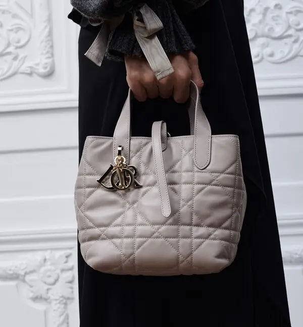 Dior Small Toujours Vertical Tote Bag