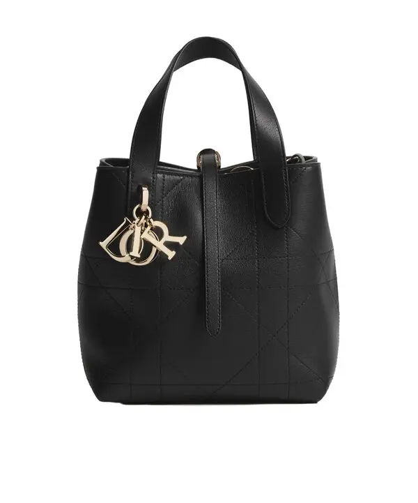Dior Small Toujours Vertical Tote Bag