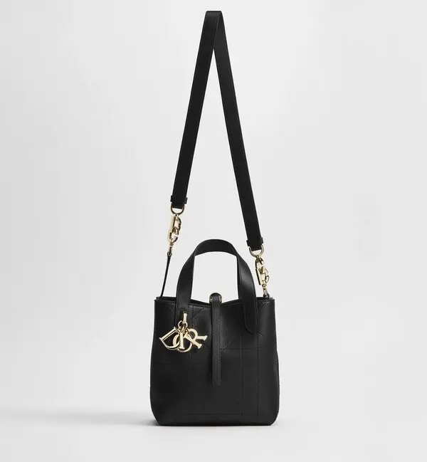Dior Small Toujours Vertical Tote Bag