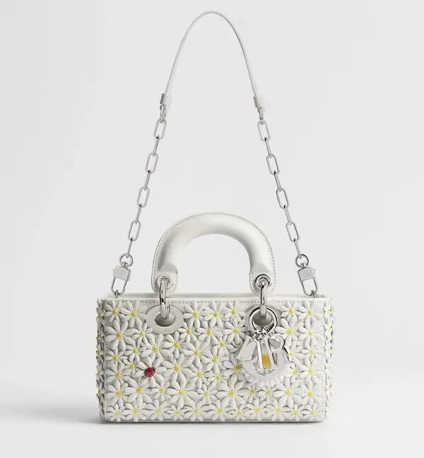 Dior Mini Lady D-joy Bag