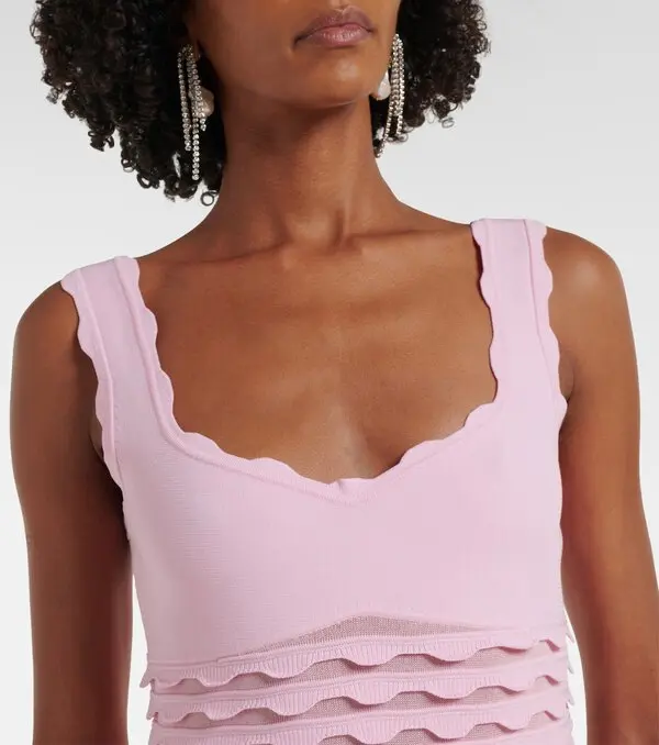Simkhai Brionne Fringed Knitted Midi Dress
