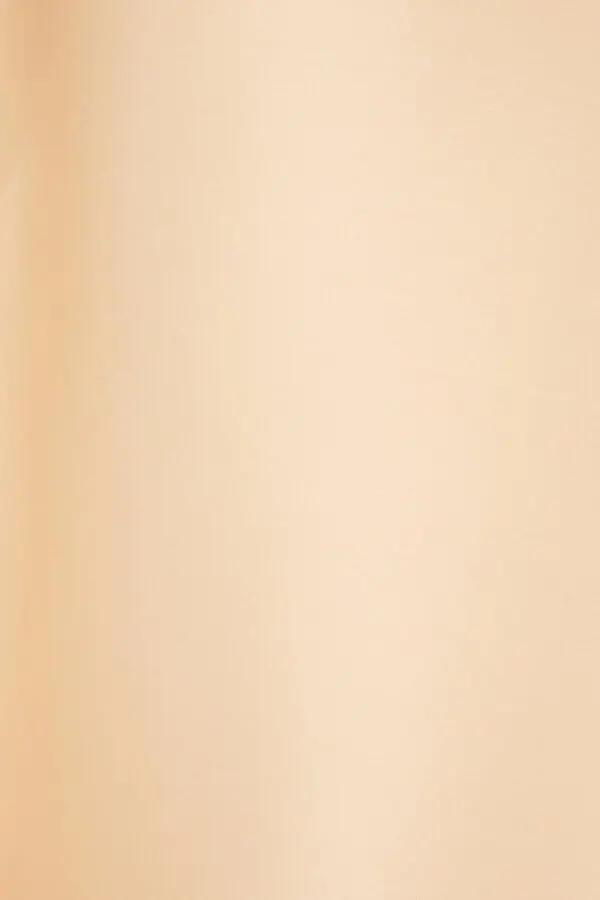 Alberta Ferretti A-line Skirt
