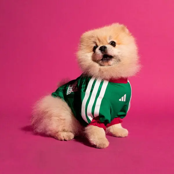 Adidas Pet Mexico Jersey - Bold Green