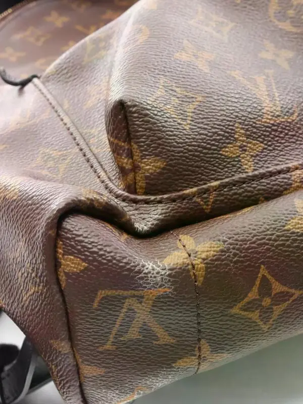 LOUIS VUITTON Palm Springs Backpack