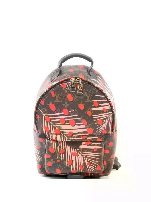LOUIS VUITTON Palm Springs Pm Backpack