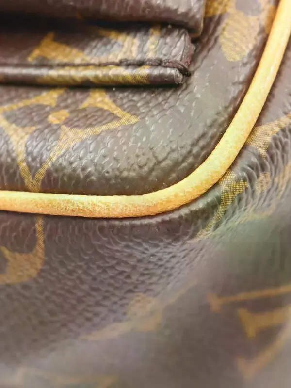 LOUIS VUITTON Monogram Viva Cité Shoulder Bag