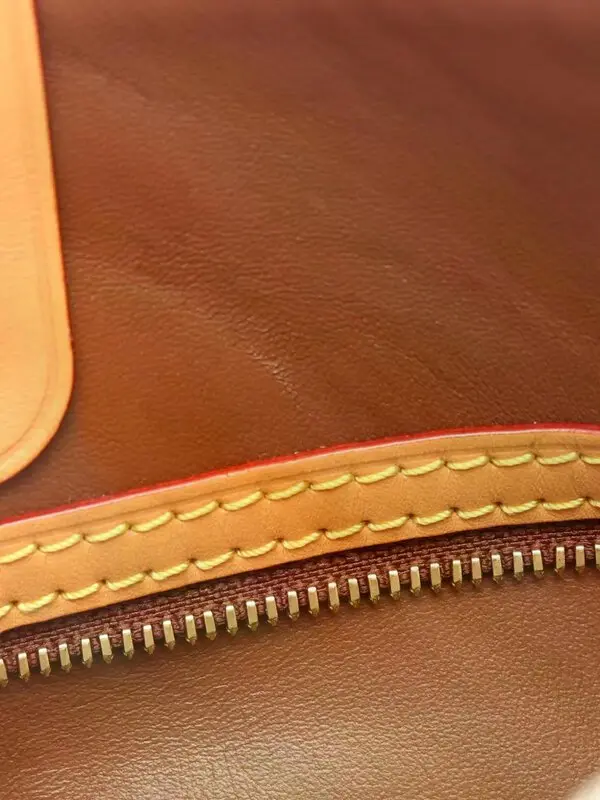 LOUIS VUITTON Speedy P9 Bandoulière Handbag