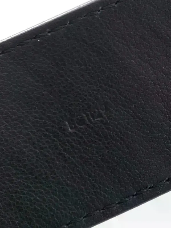 LOUIS VUITTON Autograph Belt