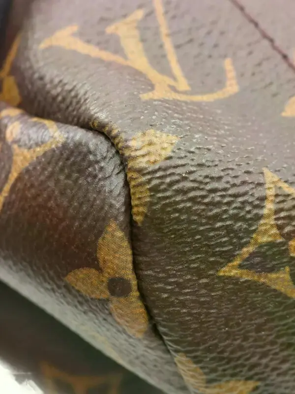 LOUIS VUITTON Monogram Palm Springs Backpack