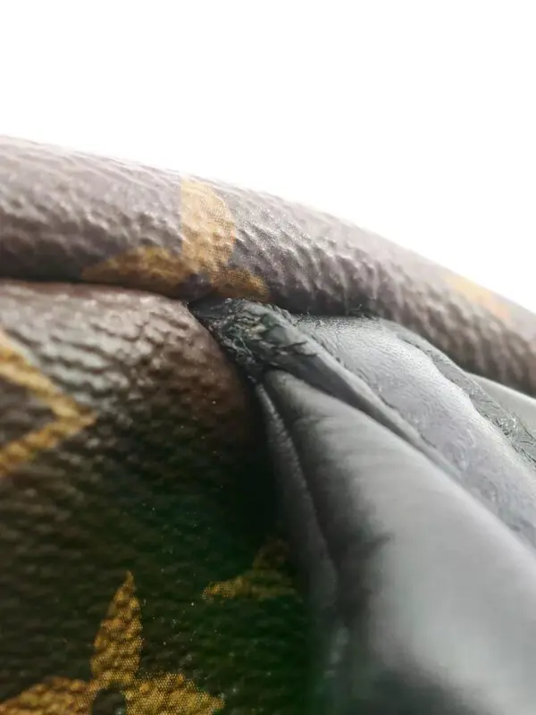LOUIS VUITTON Monogram Palm Springs Backpack